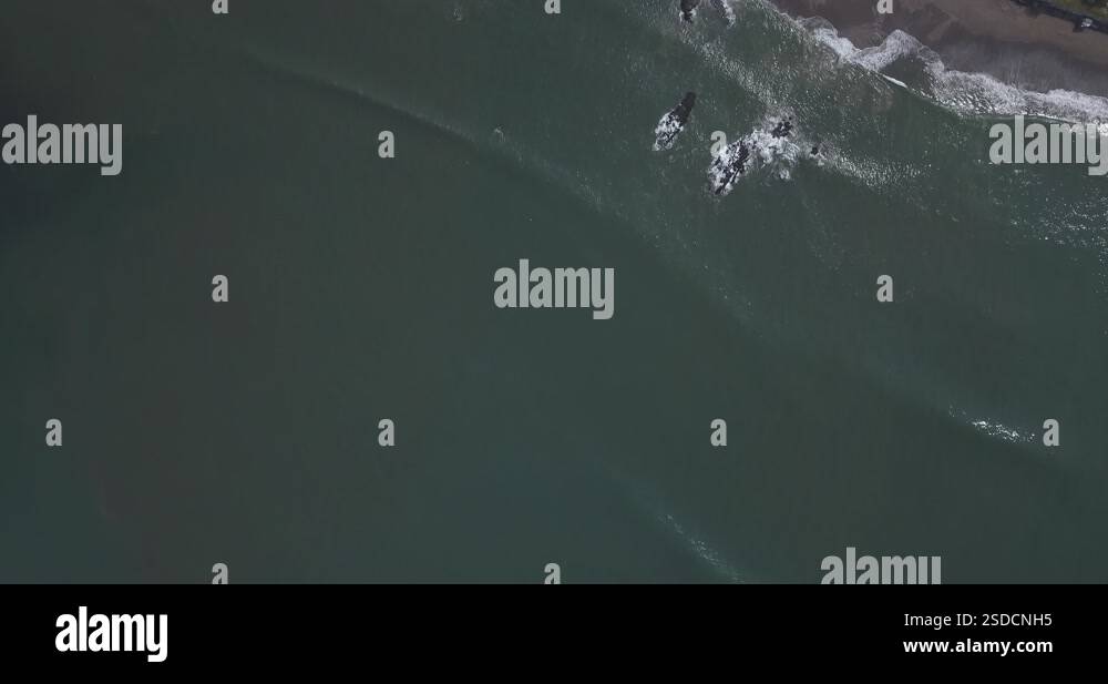 Aerial view of Echo beach Stock Video Footage - Alamy