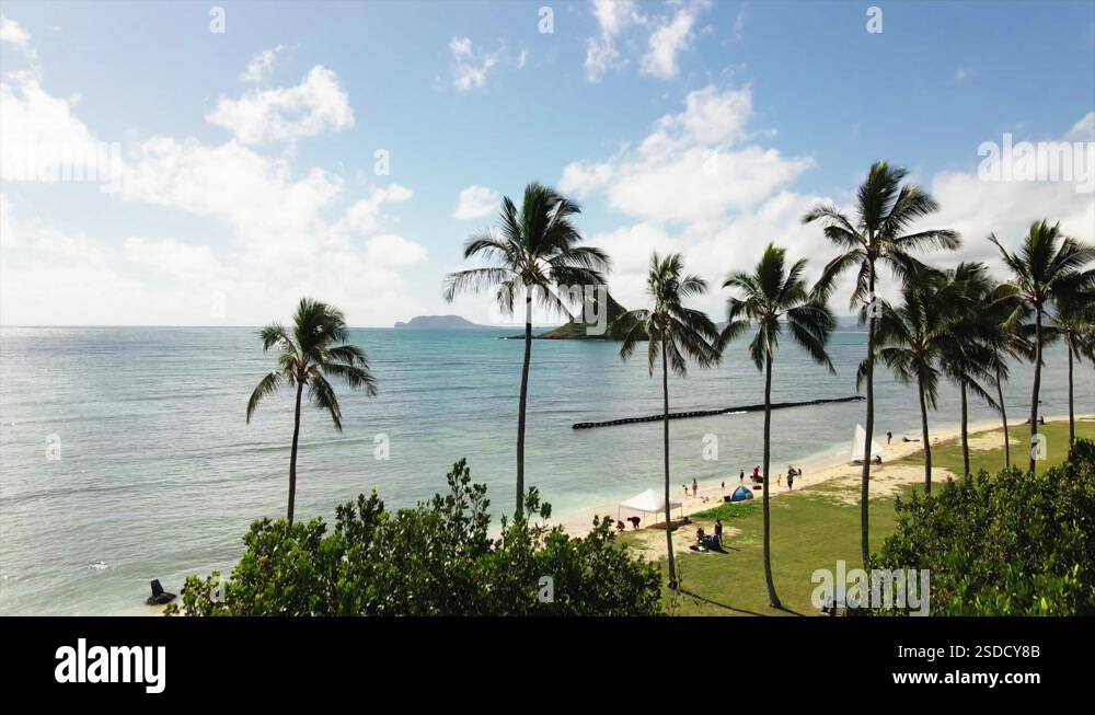 Aerial drone flying over palm trees revealing Chinaman's Hat on Oahu ...