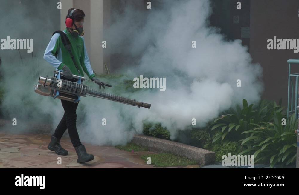 Man Holding A Portable Sprayer Fogging Machine Doing A Fumigation Of ...
