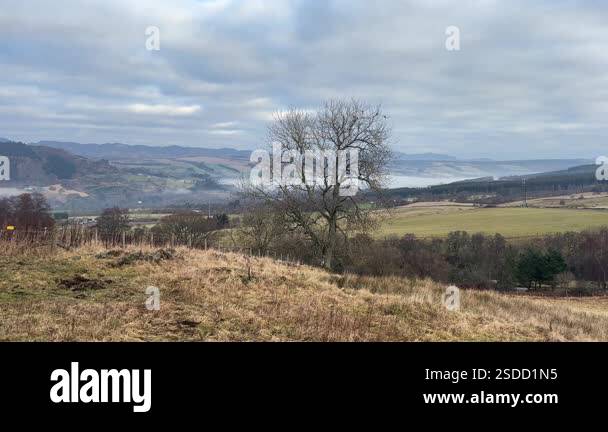 Tay valley scotland Stock Videos & Footage - HD and 4K Video Clips - Alamy