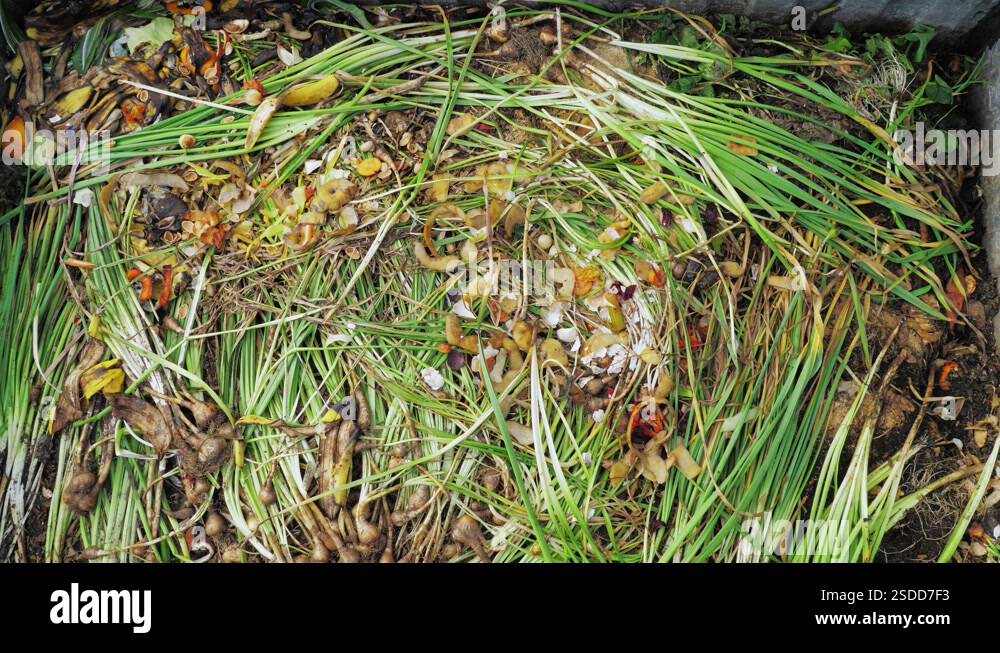Farmer dumps organic waste into a compost pit Stock Video Footage - Alamy