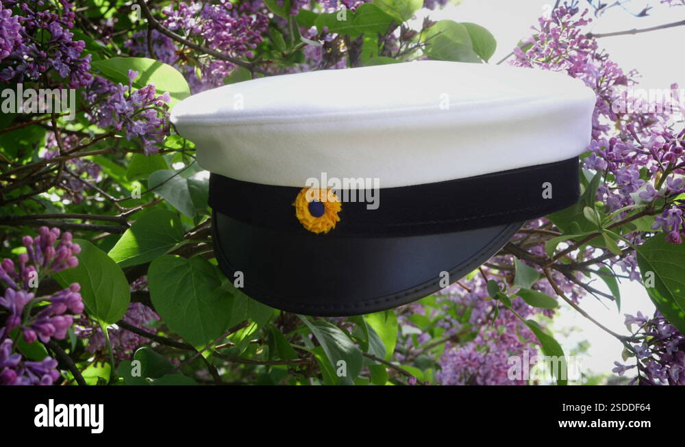 Swedish traditional graduation cap Stock Videos & Footage - HD and 4K ...