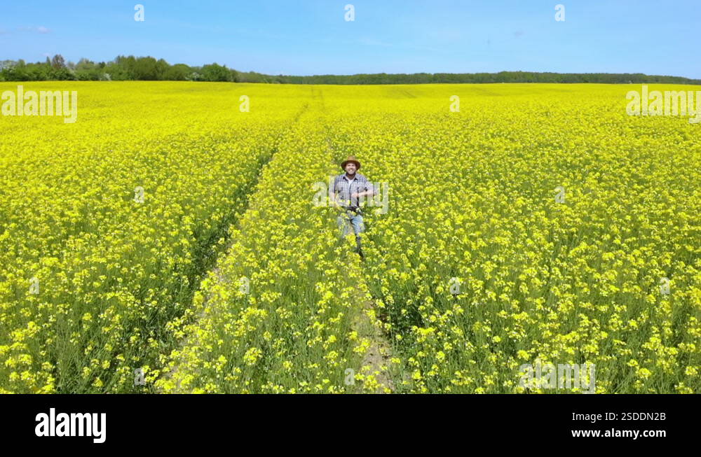 Happy Farmer in Hat Jumping in Rapeseed Field and Examining Crop ...