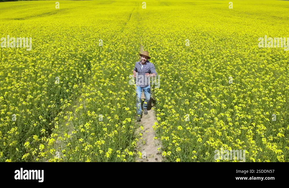Happy Farmer in Hat Jumping in Rapeseed Field and Examining Crop ...