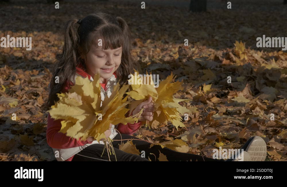 Child in autumn atmosphere Stock Video Footage - Alamy