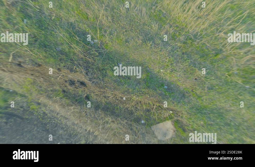 Earth theory Stock Videos & Footage - HD and 4K Video Clips - Alamy