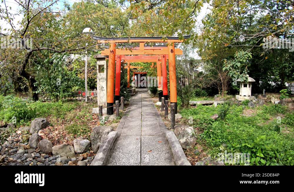 The red torii gates along a path to the small Inari-sha Shrine. Hirano ...