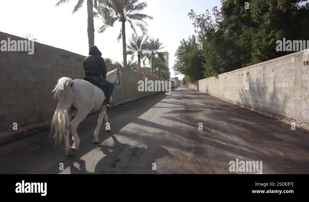 Man riding horse western Stock Videos & Footage - HD and 4K Video Clips ...