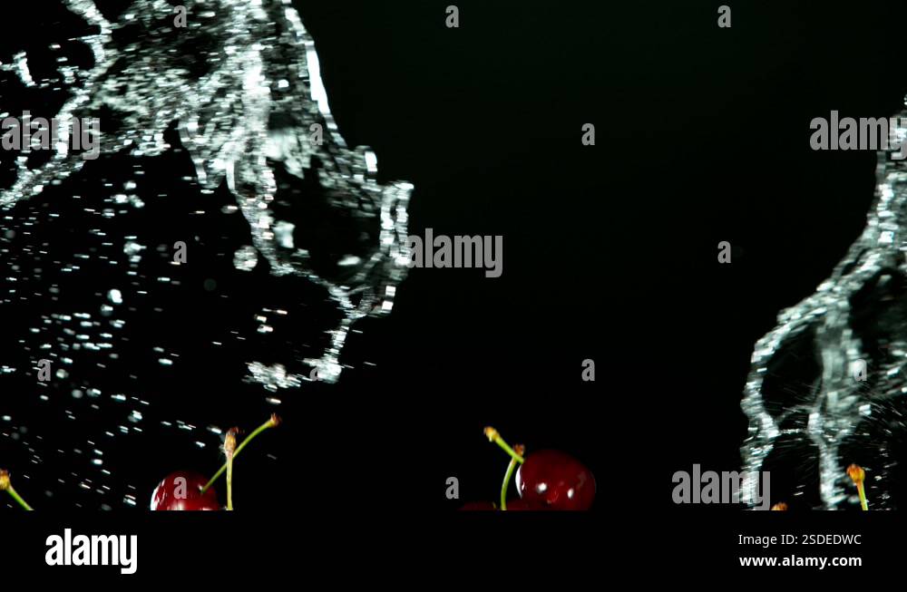 Super slow motion of falling cherries with water splashes Stock Video ...