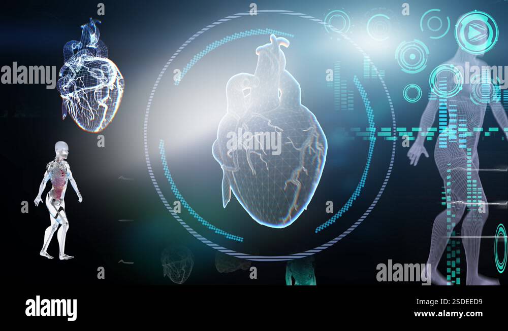 medical Interface, Heart scan animation of Human Male Anatomy Scan ...