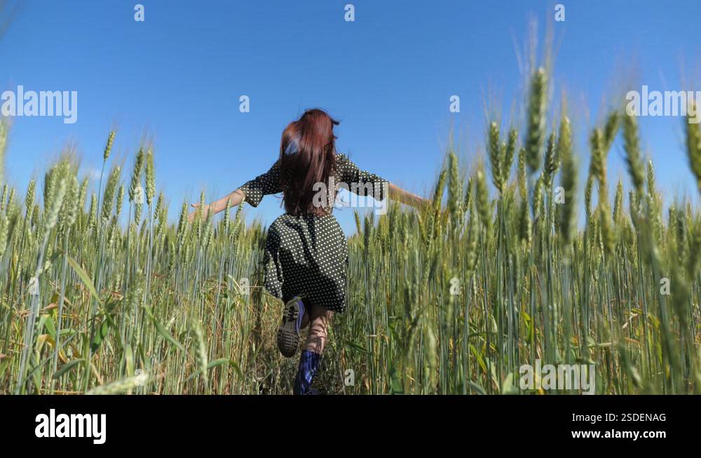 A young girl happily walking in slow motion through a field touching ...