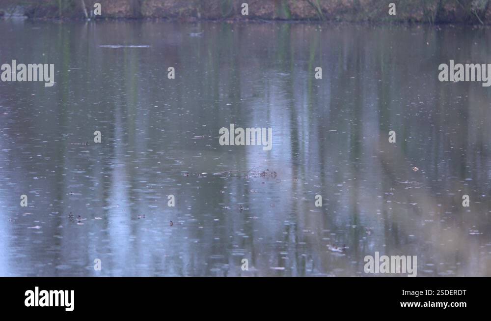 Drops of rain crash against water surface of lake Stock Video Footage ...