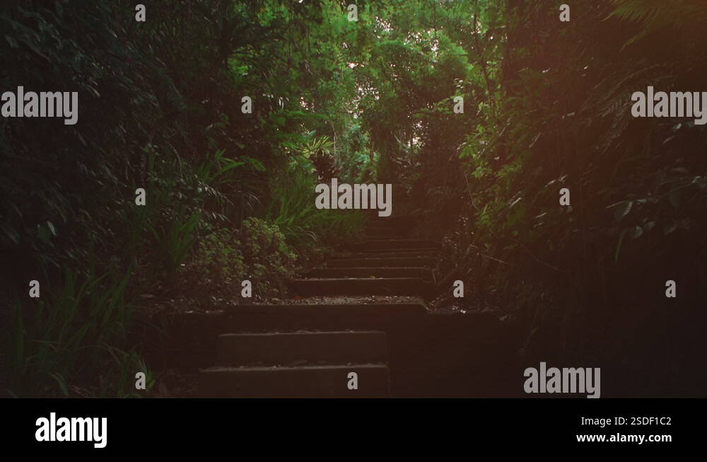 ancient stone steps in jungle in indonesia backround Stock Video ...