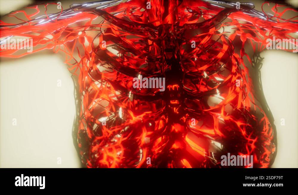 inspection of blood in the blood vessels of the circulatory system ...