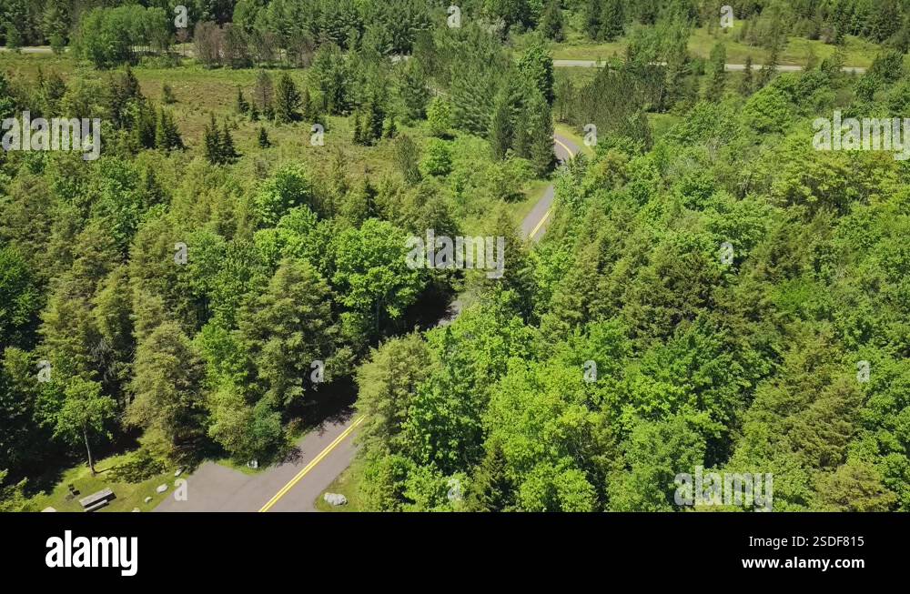 Forest park line Stock Videos & Footage - HD and 4K Video Clips - Alamy