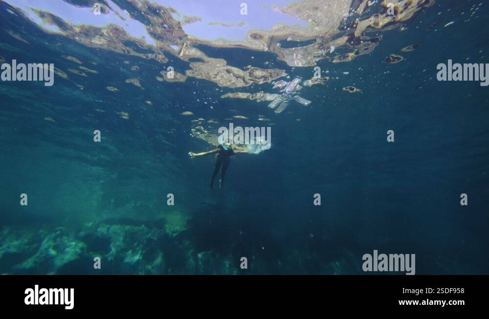 Underwater shoot of a dirty discarded plastic bottle floating in the ...