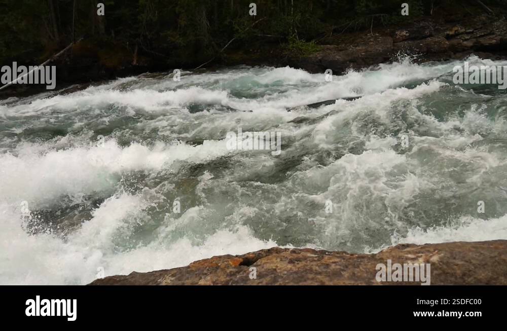 Forming foam Stock Videos & Footage - HD and 4K Video Clips - Alamy