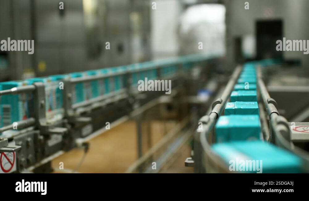 Dairy products factory. Cartons of milk. Conveyor for milk packaging ...