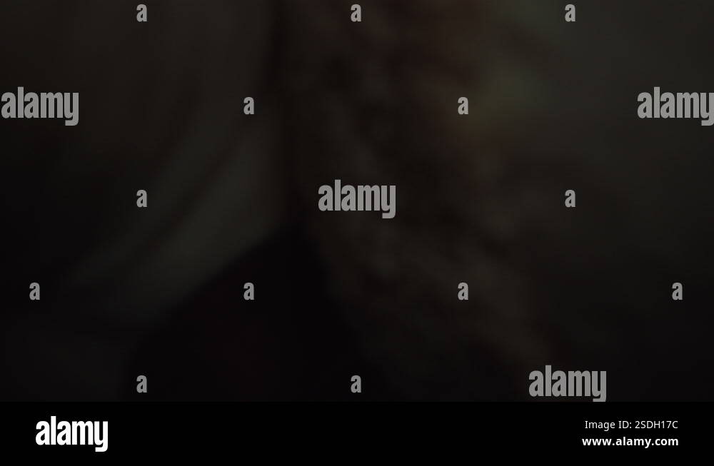 Teddy bear feet Stock Videos & Footage - HD and 4K Video Clips - Alamy