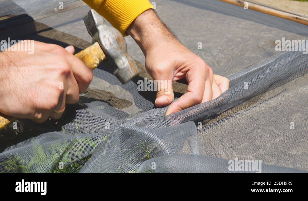 Carpenter nails a mosquito net on the window Stock Video Footage - Alamy
