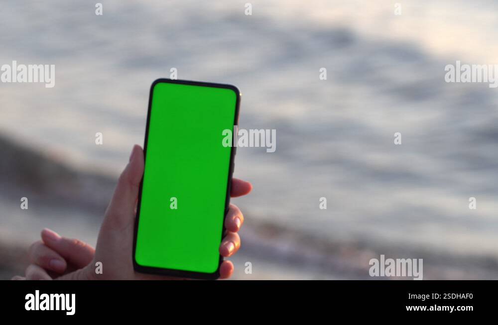 Handheld Camera: back view of brunette holding chroma key green screen ...