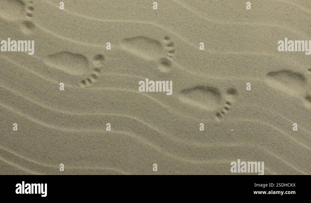 Crane human Stock Videos & Footage - HD and 4K Video Clips - Alamy