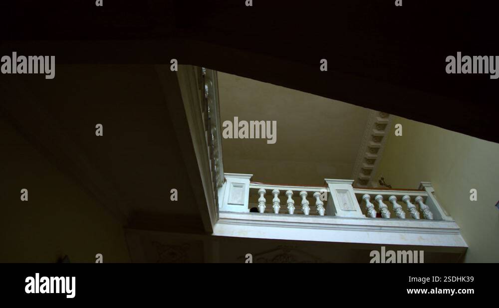 Pushkin is talking to a young woman at the top of the stair at the ball ...