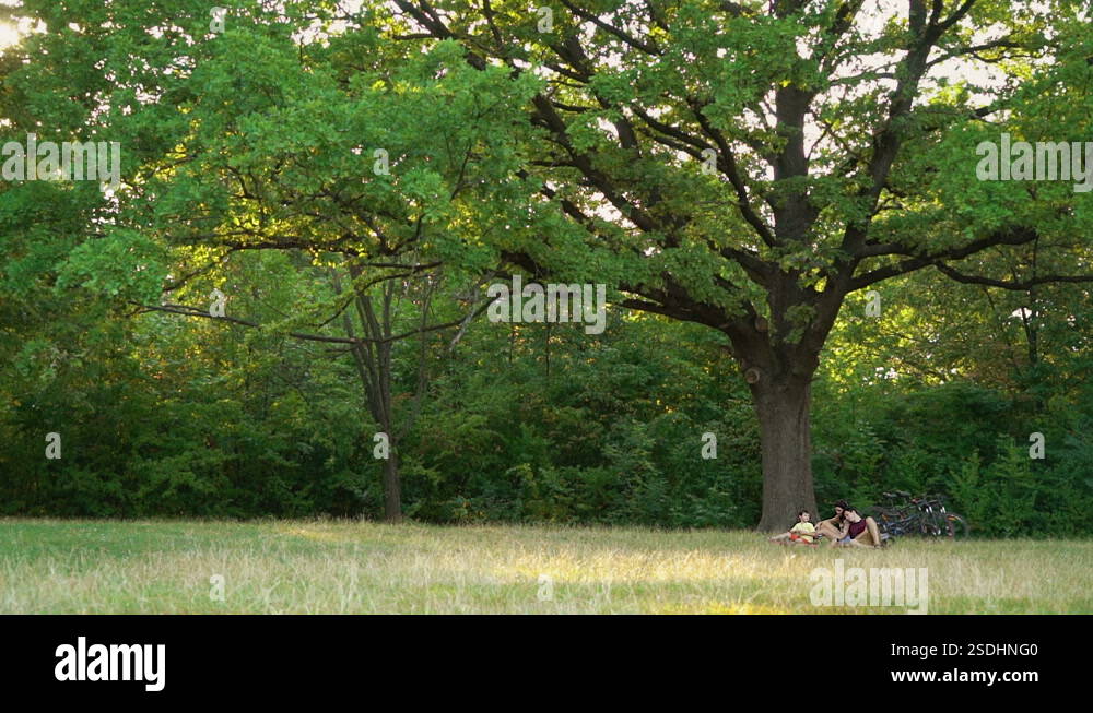 Family having picnic under oak tree after bike ride Stock Video Footage ...
