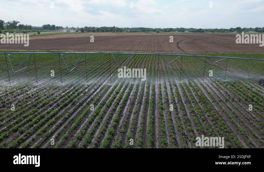 Movable sprinkler system and irrigation machine watering crops beds on ...