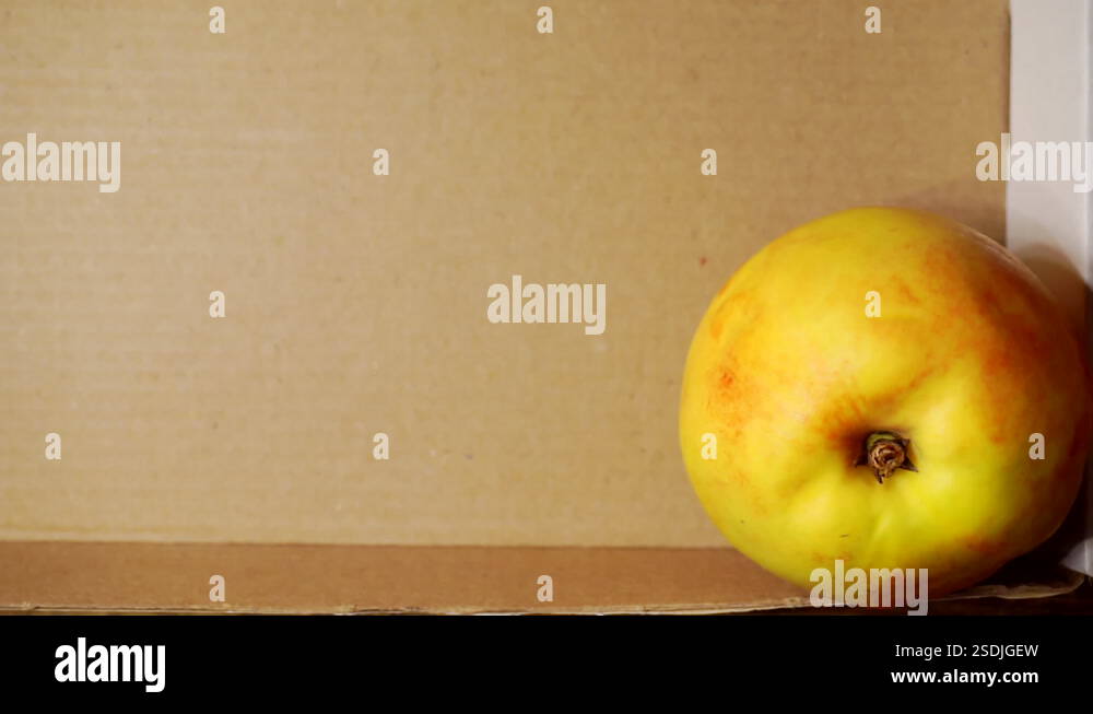 harvesting and storage of fruits.peaches in a carton box.top view Stock ...