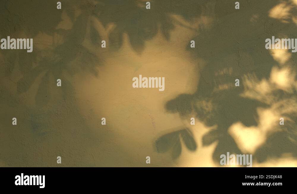 Cross shadows on building Stock Videos & Footage - HD and 4K Video ...