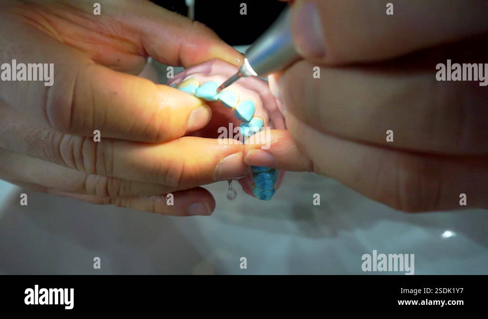 hands of a student in gloves work with a tool with teeth on an ...