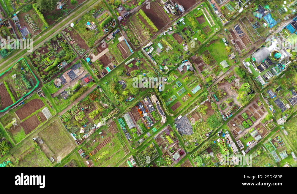 4k aerial footage rotating above a patchwork of vegetable plot ...
