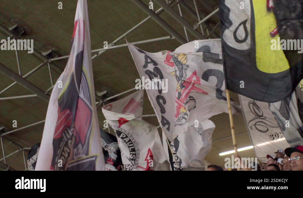 Fans stadium flags Stock Videos & Footage - HD and 4K Video Clips - Alamy
