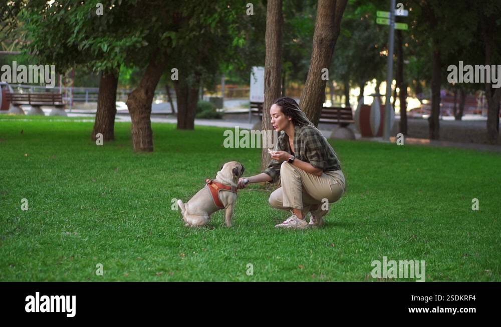 Animal execution Stock Videos & Footage - HD and 4K Video Clips - Alamy