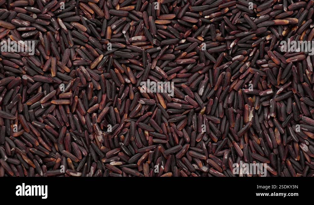 Black rice - background. Rice, dolly shot Stock Video Footage - Alamy