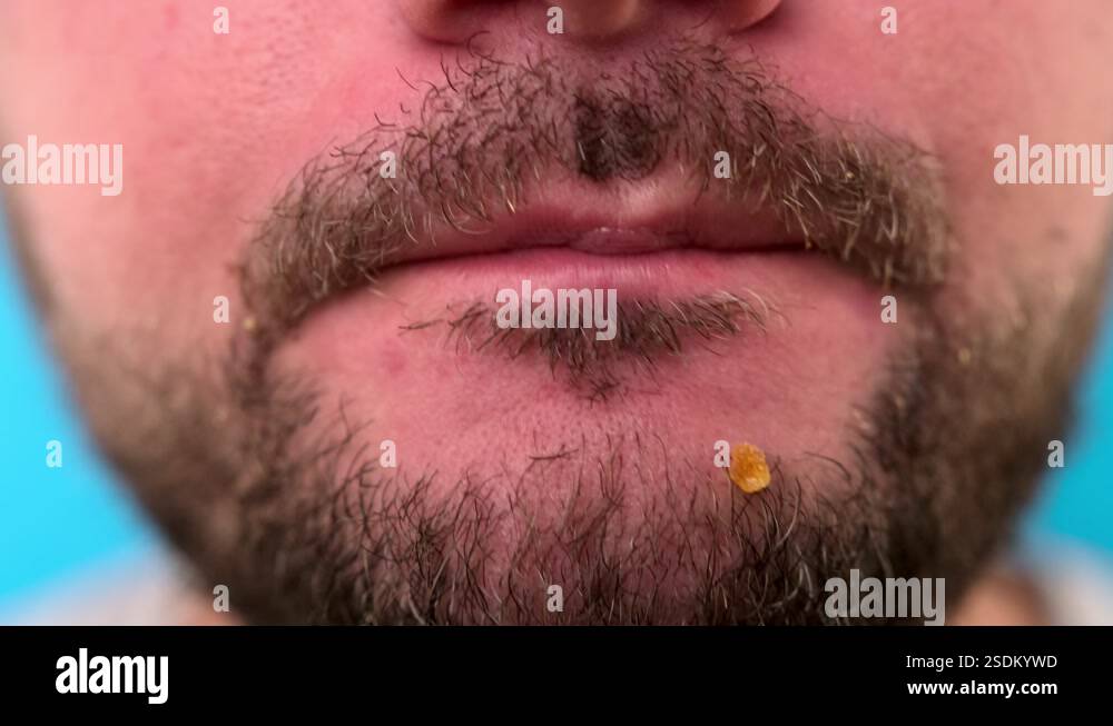 Man eating fast food, delicious golden crispy chicken big leg in crispy ...