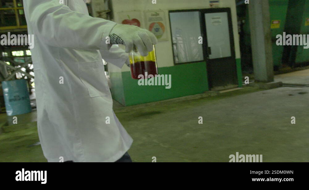 Carrying glass Stock Videos & Footage - HD and 4K Video Clips - Alamy