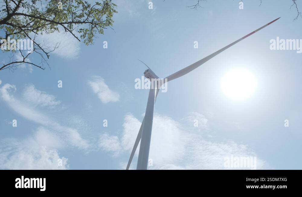 The wind sways the branches of a tree against the backdrop of an idle ...