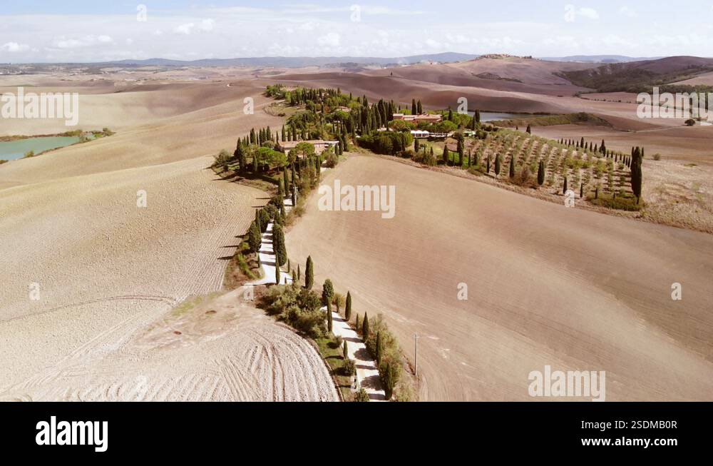 Tuscany cypress tree Stock Videos & Footage - HD and 4K Video Clips - Alamy