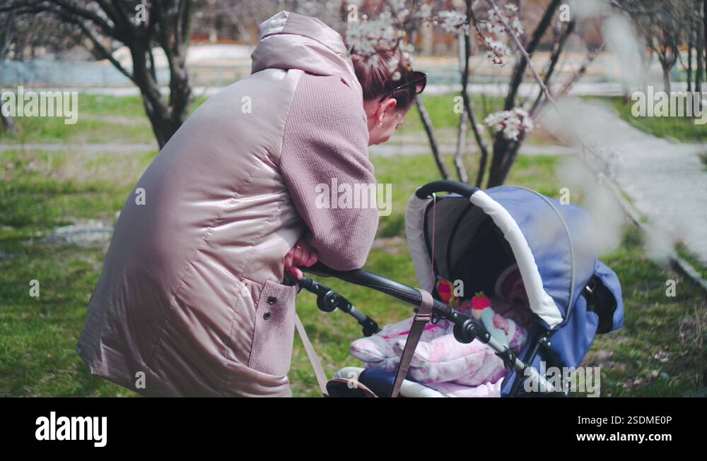 Mom Plays With The Baby Who Lies In The Stroller. Spring, Cherry ...
