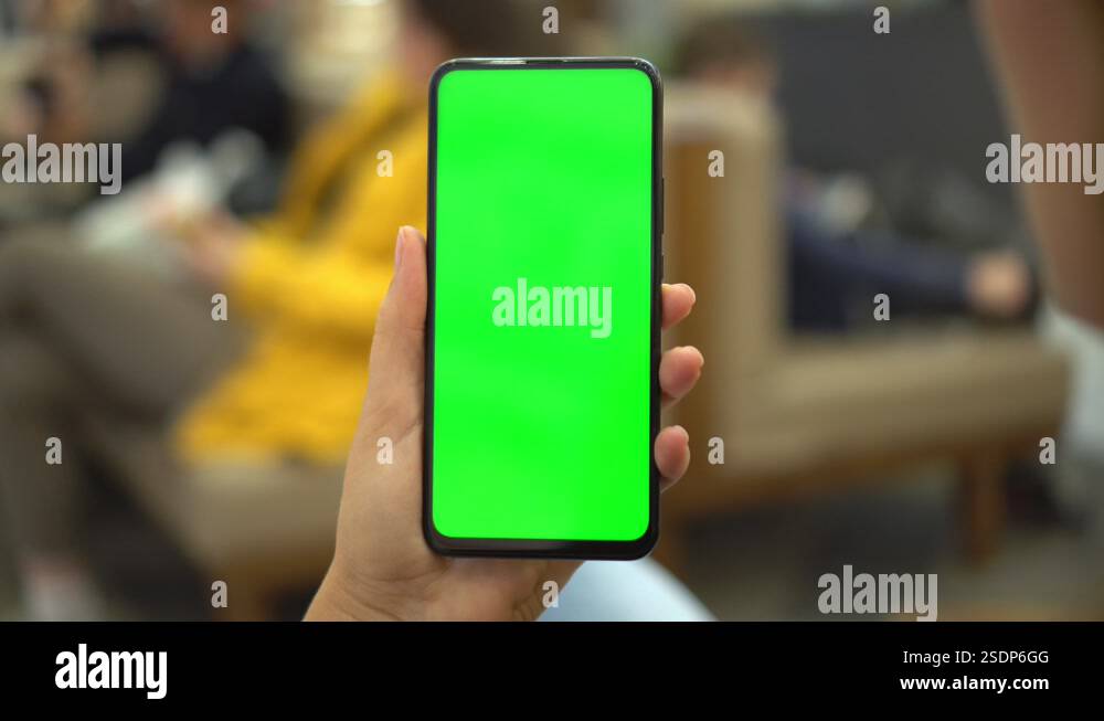 Shopping center. Department store. Mall. Back view of brunette holding ...