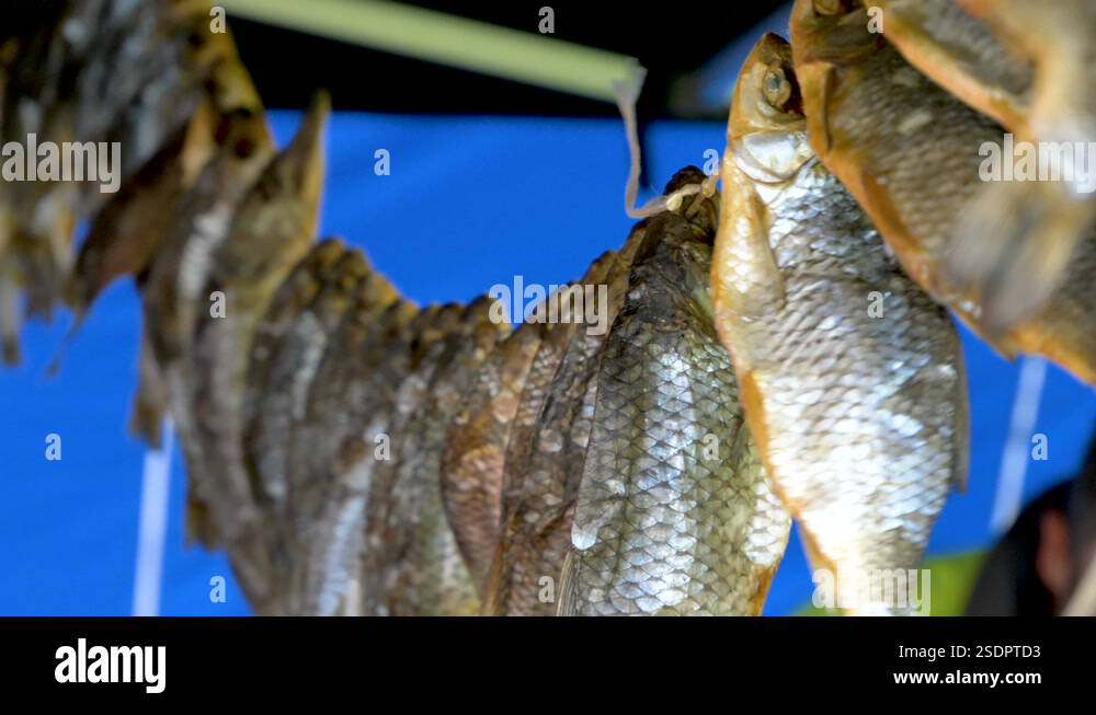 Silver fish scales Stock Videos & Footage - HD and 4K Video Clips - Alamy