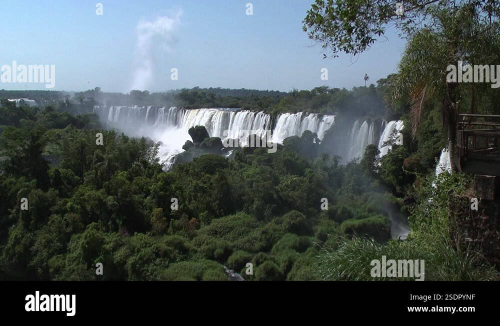 Argentina Iguazu Falls tree branch over view Stock Video Footage - Alamy