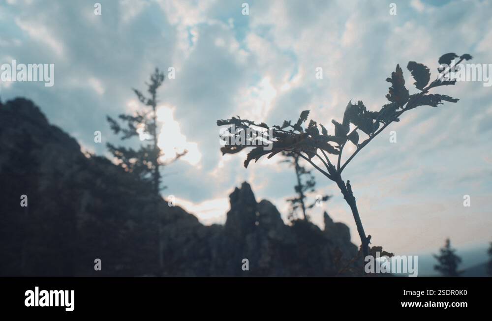 Foreground texture Stock Videos & Footage - HD and 4K Video Clips - Alamy