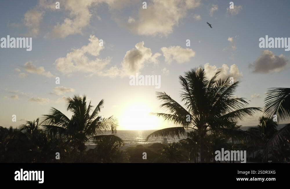 Glimmering sun Stock Videos & Footage - HD and 4K Video Clips - Alamy
