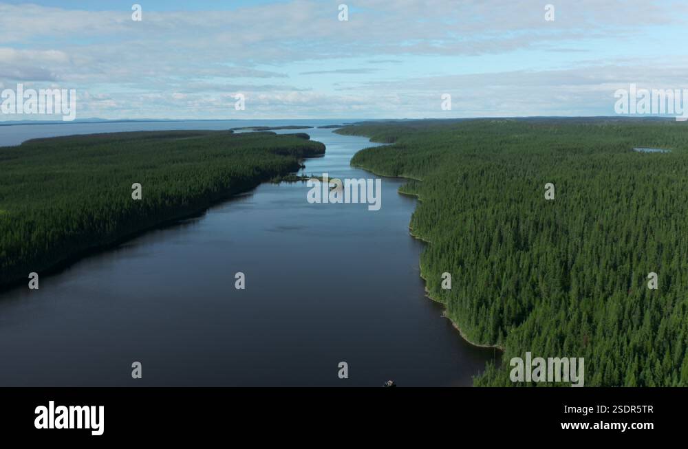 Drone flying down and backwards in a wild and beautiful creek on a ...