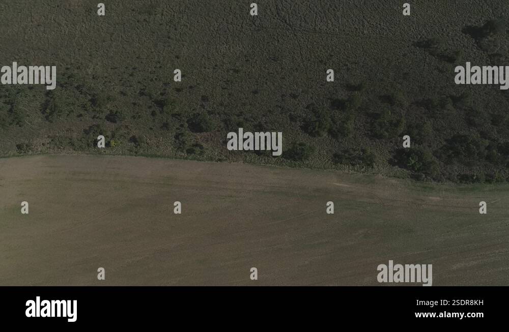 Forest border with crop plantation aerial view Stock Video Footage - Alamy