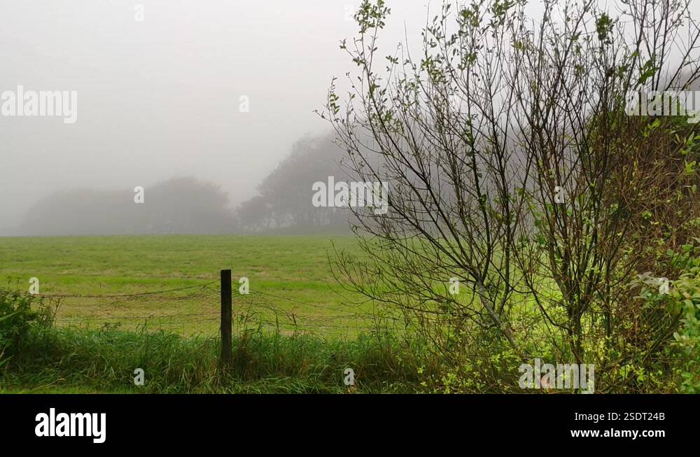Green fields in the English countryside in UK. It's an ealry cold day ...