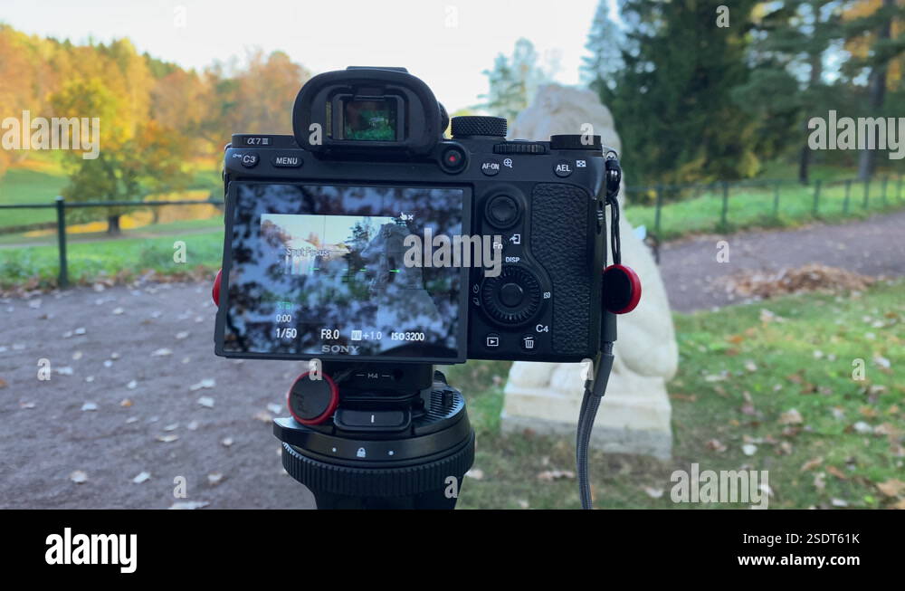 Using digital camera to capture video outdoors Sony a7 III on tripod in park Stock Video Footage ...